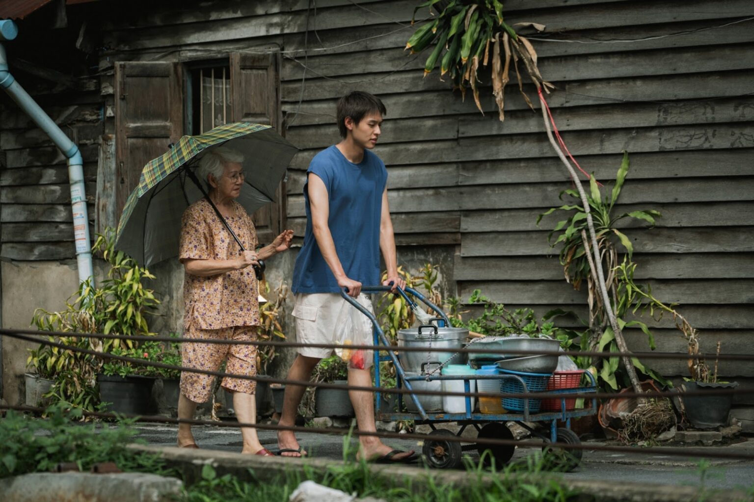 Interview: Pat Boonnitipat on the Unexpected Popularity of Thailand’s ...